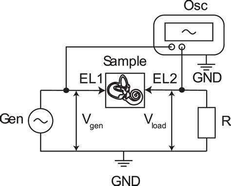 Schematic Picture Of The Impedance Measurement Circuit Gen—voltage Download Scientific Diagram