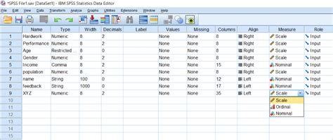 What Is The Scale Of Measurement Used In Spss