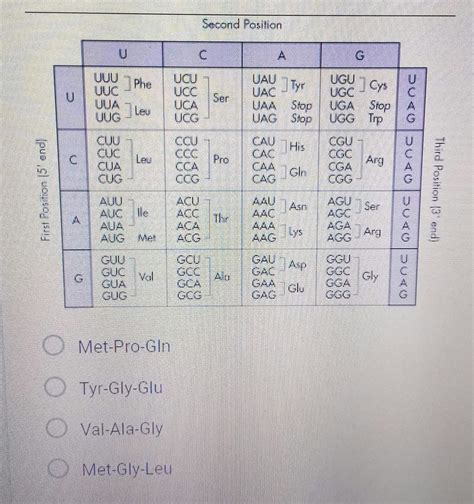 Polypeptide Amino Acid Sequence Chart A Visual Reference Of Charts