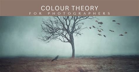 Understanding Colour Theory For Photographers Digital Educator And Creative