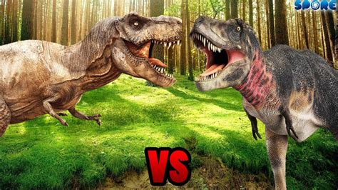 Tarbosaurus Vs T Rex