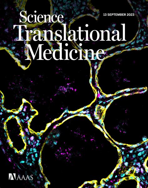 Stronger Regulation Of Ai In Biomedicine Science Translational Medicine