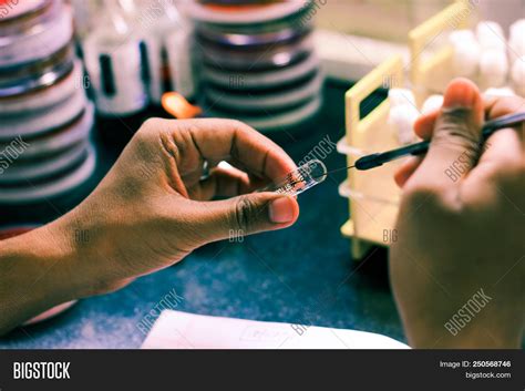 ภาพและภาพถ่าย ทดลองใช้ฟรี Bigstock