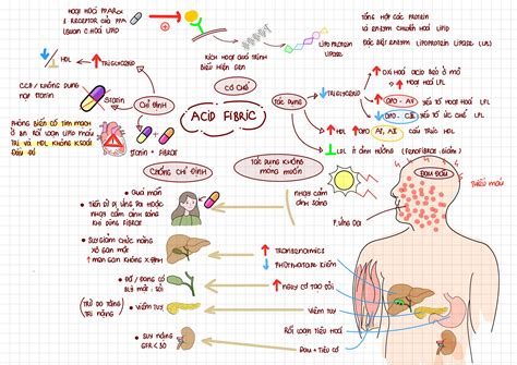 Facts About Amoeba Structure Behavior And Reproduction Artofit