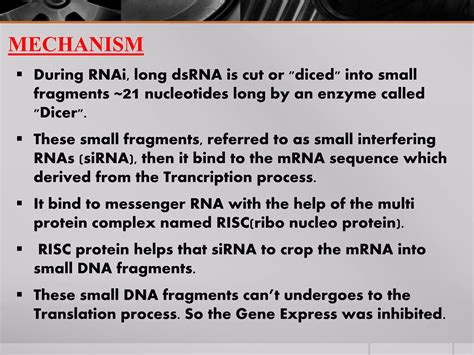 Gene Silencing By Rna Interference And Antisense Therapy Ppt