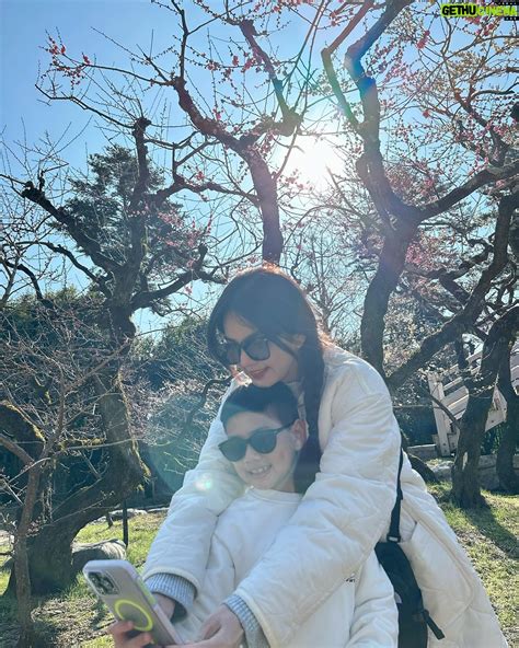 Actress Ella Chen Jia Hua Hd Photos And Wallpapers February 2025