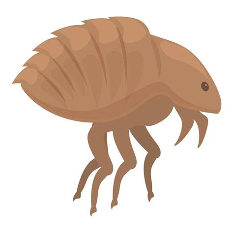 Flea Cartoon Vector Art Icons And Graphics For Free Download