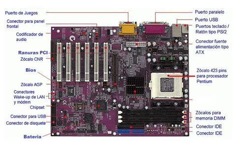 Elementos De La Placa Base Componentes