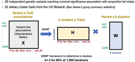 Schematic Overview Of The Bayesian Nonnegative Matrix Factorization