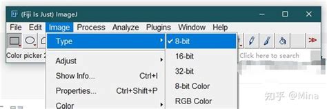 Imagej 使用教程：1细胞计数 知乎