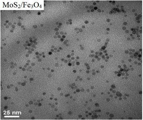 一种层状mos2‑fe3o4纳米复合材料的制备方法与流程