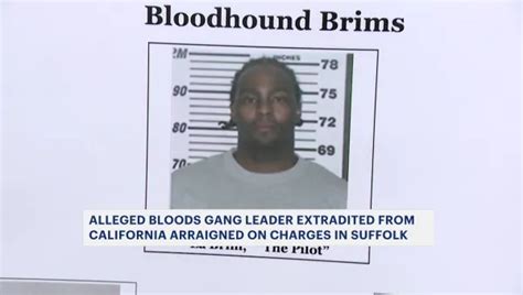 Alleged Bloods Gang Member Faces Conspiracy Charges For Ordering