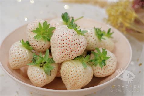 北部採草莓推薦｜宜蘭 玩莓主意草莓園｜全台最大稀有白草莓自採 溫室栽種不怕下雨 Miss Mama。媽媽小姐
