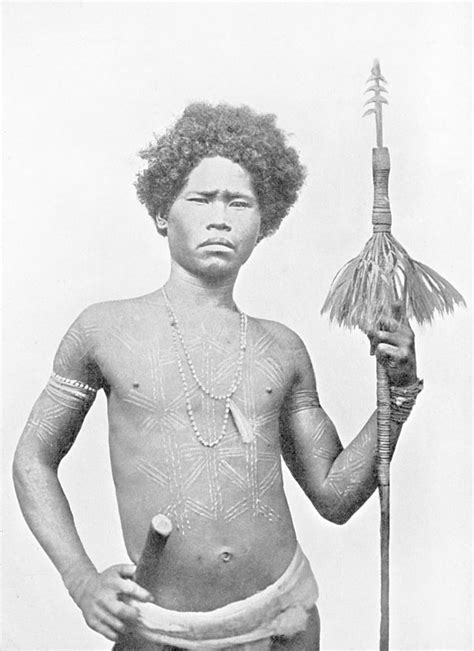 Negrito Wikipedia