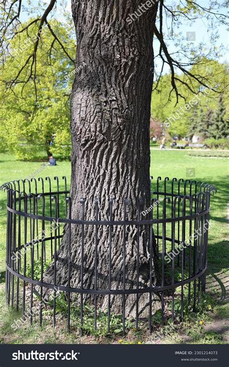 Fence Around Tree Images Stock Photos Vectors Shutterstock