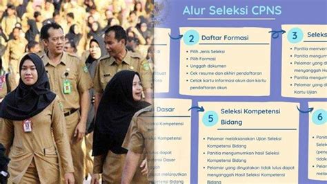 Dibuka Bulan September Begini Alur Seleksi CPNS 2023 Dan PPPK Dari