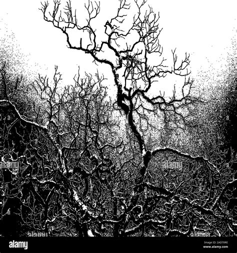 Nature Pathway In The Forest Vector Illustration Stock Vector Image