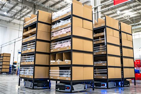 Geekplus Helps Cultivate Growing France Order Fulfillment Robot Market