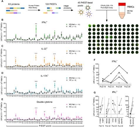 T Cell Reactivity Screening Using A Prest Library A Panel Of Prests Download Scientific