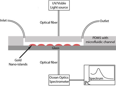 Schematic Of Microfluidic Device Used In The Ocean Optics Spectrometer Download Scientific