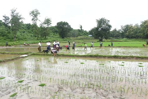 ရခိုင်ပြည်နယ် မောင်တောမြို့တွင် ခရိုင်စီမံအုပ်ချုပ်ရေးအဖွဲ့ဥက္ကဋ္ဌ