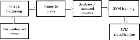 Figure 1 From Classification Of Skin Diseases Using Image Processing