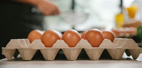 건강한 계란 계란 껍질 껍데기 날 것 내부 단백질 닭 도기 뜨거운 레시피 맛있는 먹을 수 있는