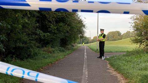 Swindon Murder Man Stabbed To Death In Field Bbc News