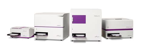 Single Guide Simplified Engen Sgrna Synthesis Kit S Pyogenes