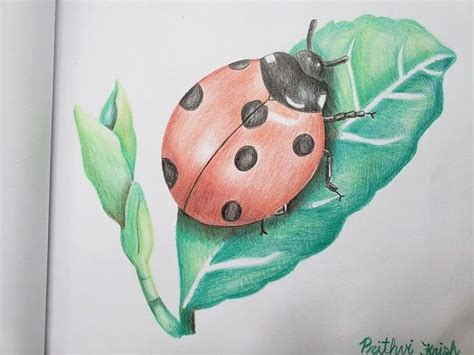 Ladybug Art Starts