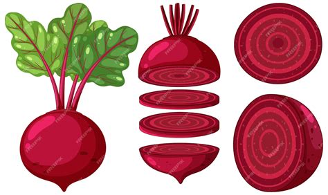 Free Vector Set Of Beetroot Cartoon
