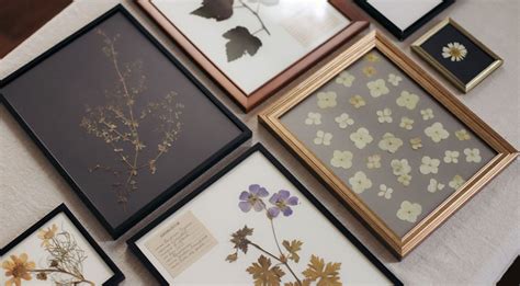 Diy Dekorasi Apartemen Sederhana Dan Unik