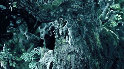 Treebeard Wallpapers Top Free Treebeard Backgrounds Wallpaperaccess