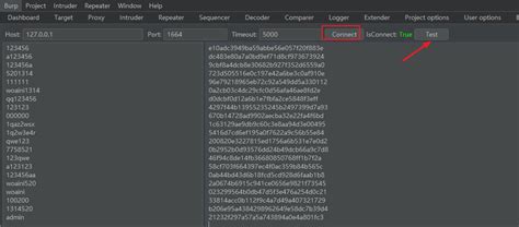Burp Jsencrypterburpcrypto Csdn