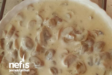 Kremalı Mantar Sos Nefis Yemek Tarifleri