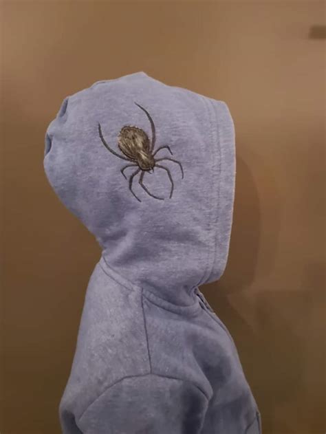 2 Spiders Halloween Embroidery Design File Machine Embroidery Etsy
