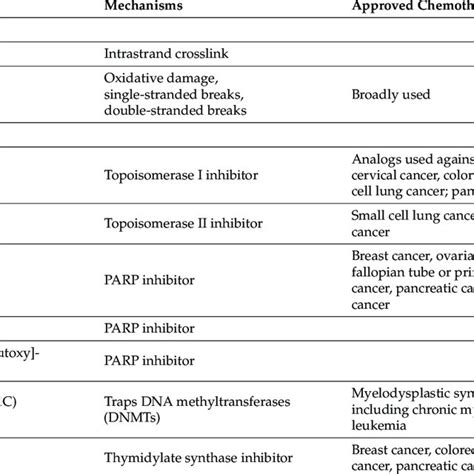 List Of A Variety Of Dna Damage Inducing Agents To Which Csb Deficient