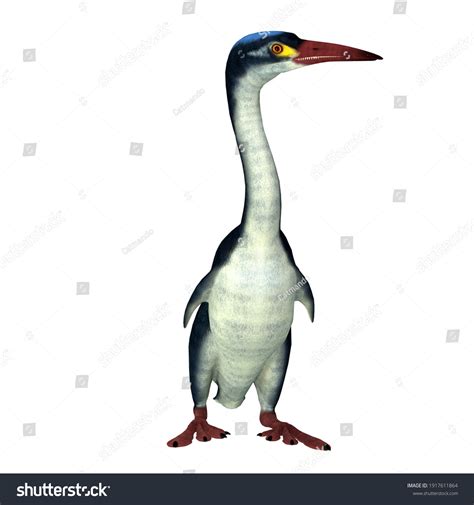 Hesperornis Bird Front 3d Illustration Hesperornis Stock Illustration
