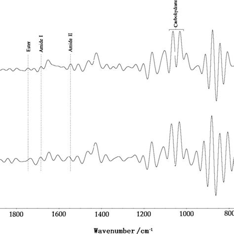 Fourier Self Deconvolution Ft Ir Spectra In The 2000 650 Cm −1 Region
