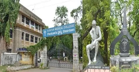 Guntur Medical College 2025 26 Courses Fees Stipend Bond Courses