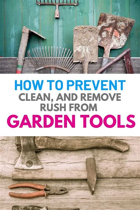 How To Prevent Clean And Remove Rust From Garden Tools Amaze Vege Garden
