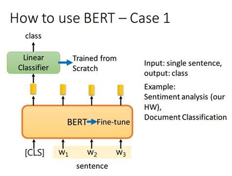 Bert Pytorch