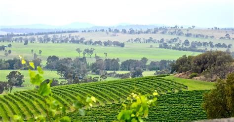 Singleton Nsw Accommodation Maps Attractions And Events