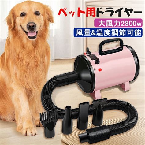 【楽天市場】p10倍！ペットドライヤー 犬用ドライヤー 梅雨散歩 多頭飼い 伸縮可能ホース 業務用 防塵デザイン 大風量 強いブロー力 急速
