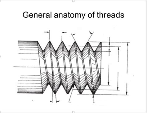 Anatomy Of Threads Diagram Quizlet