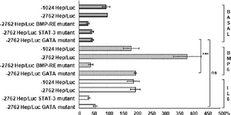 Table 1 From Gata 4 Transcription Factor Regulates Hepatic Hepcidin