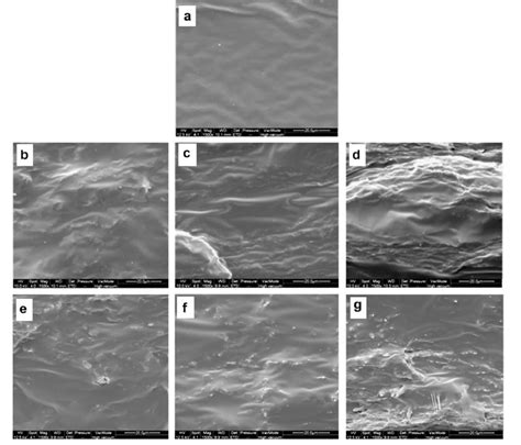 Scanning Electron Micrographs Of The Fractured Surfaces Of Nr Based