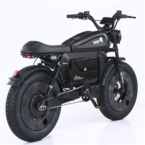 Hcbk Ss10 1500w3000w Full Suspension Fat Tire Electric Bike 20 Inch