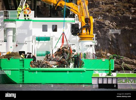 Twelve Men And One Woman Were Killed When A Helicopter Of Chc