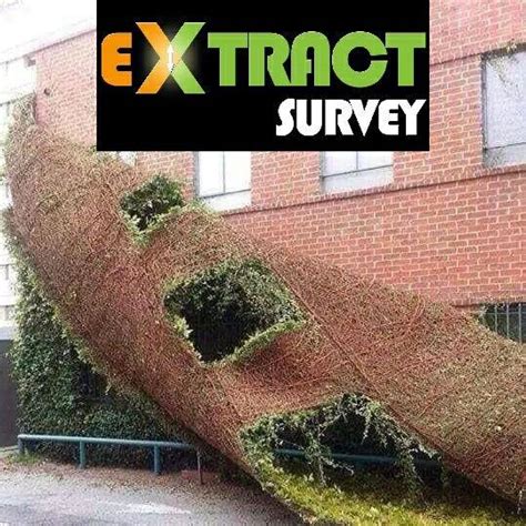 Extract Survey Extract Survey Added A New Photo